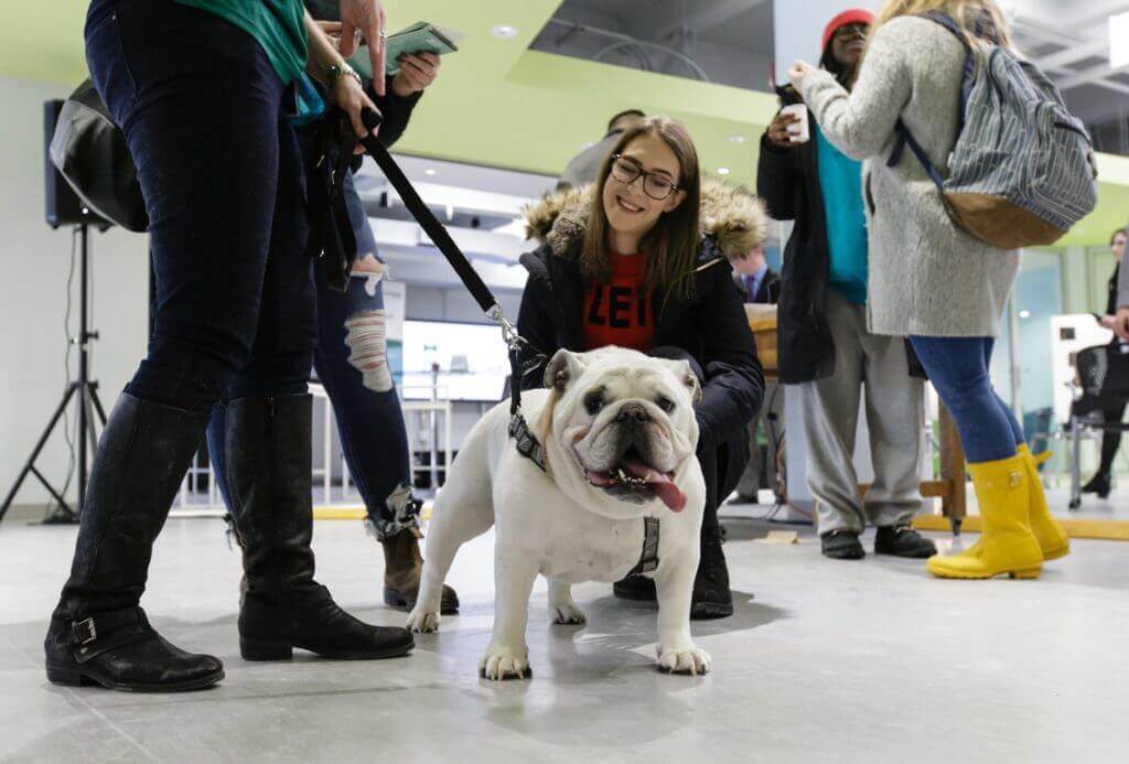 AC Dog Squad on Social! | AC Blog