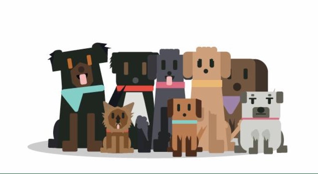 Where to find the Dog Squad this week | AC Blog