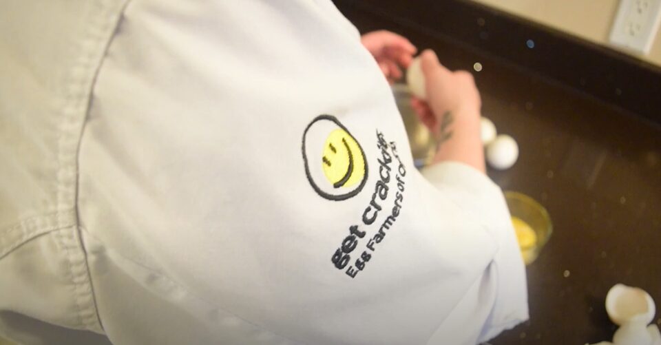 Get Cracking on the Perfect Omelette | AC Blog