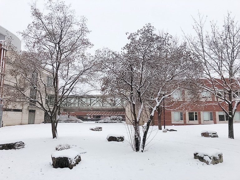 Winter is here! How to stay safe on campus this season | AC Blog