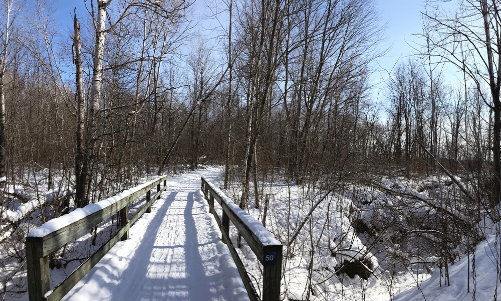 7 great ways to explore the Ottawa outdoors during the cold seasons ...