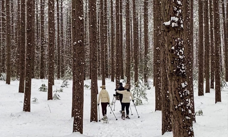 7 great ways to explore the Ottawa outdoors during the cold seasons ...