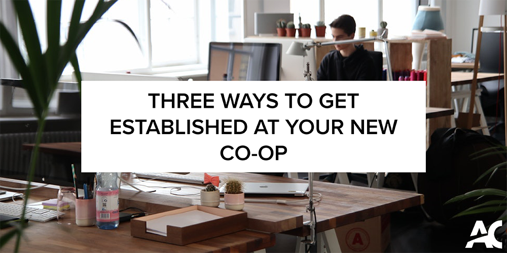 three key ways to get established - Co-op & Career Centre