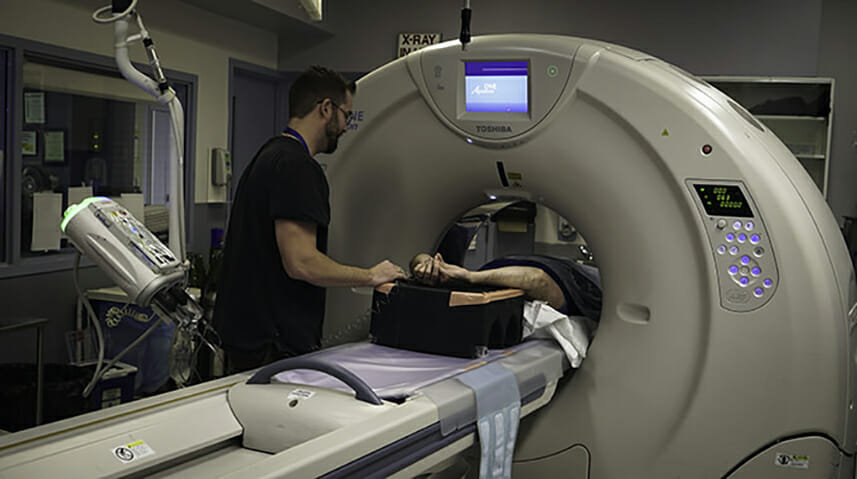 MRT-image3 - School of Health Studies