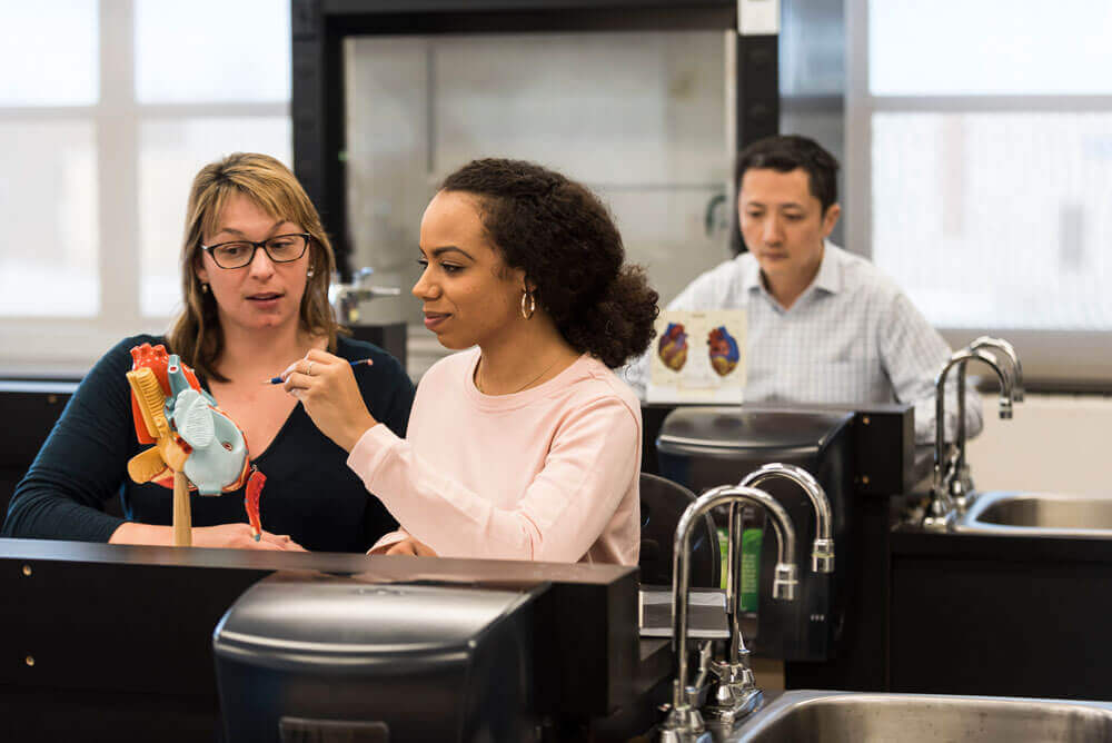 Pre-Health Sciences Pathway to Certificates and Diplomas - School of ...