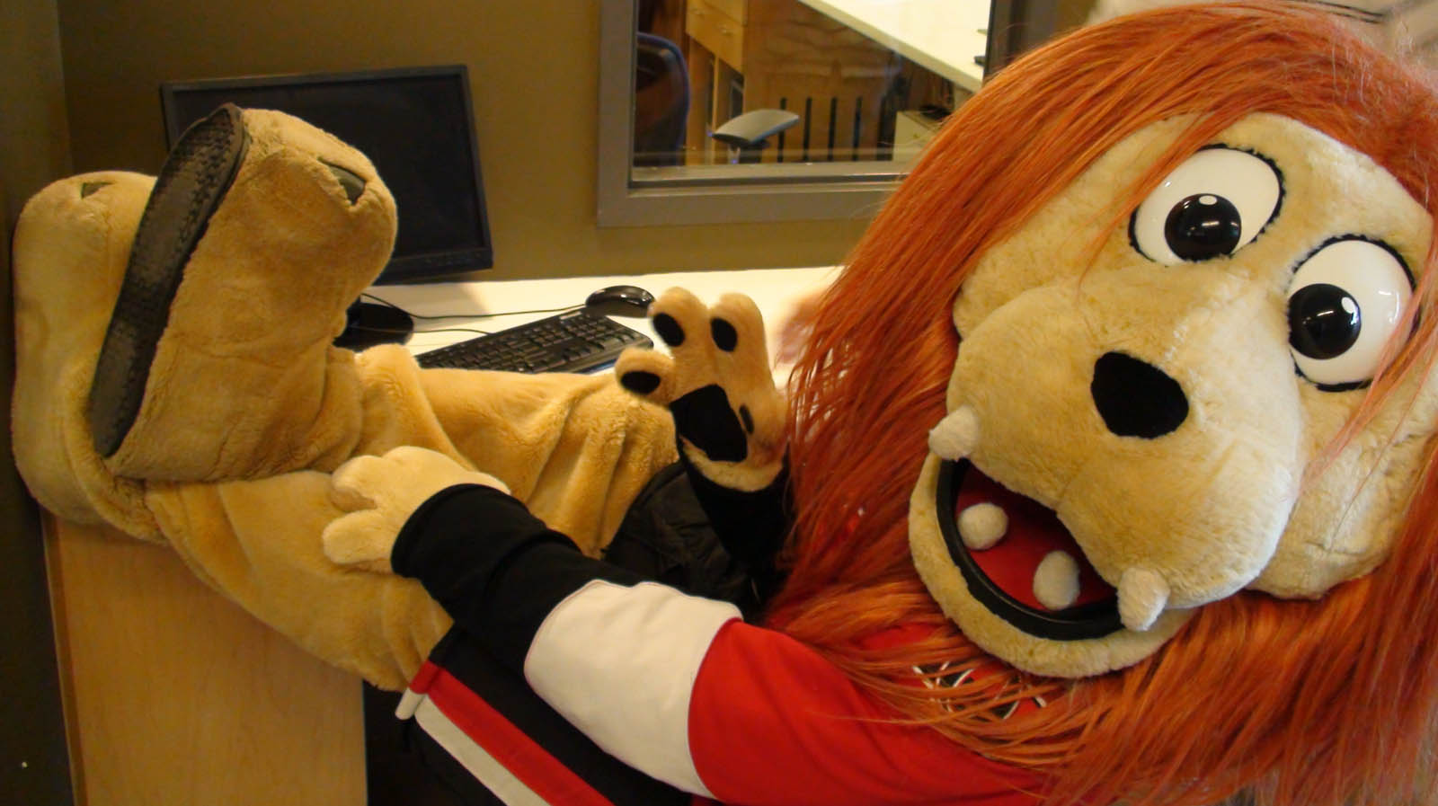 Sparta Cat Visit | Information Security and Privacy