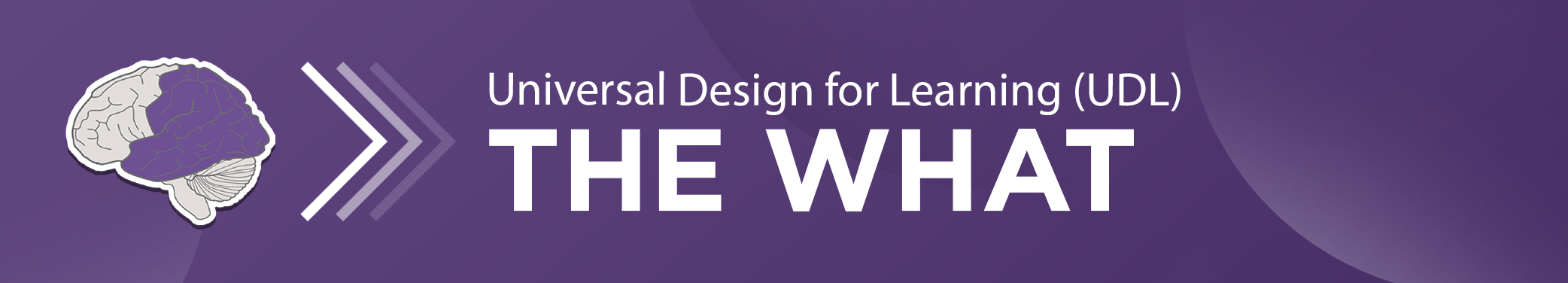 UDL: The What | Learning and Teaching Services (LTS)