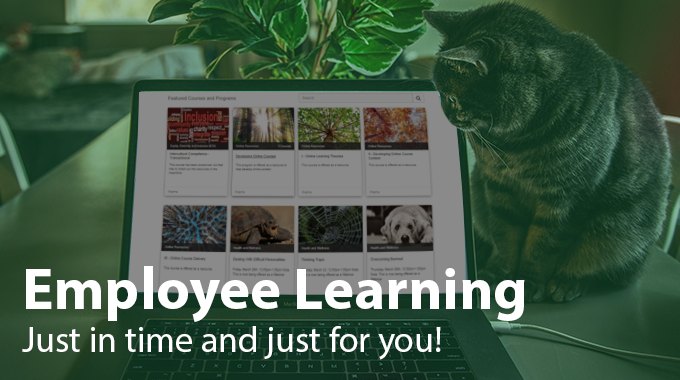 Employee Learning and Development