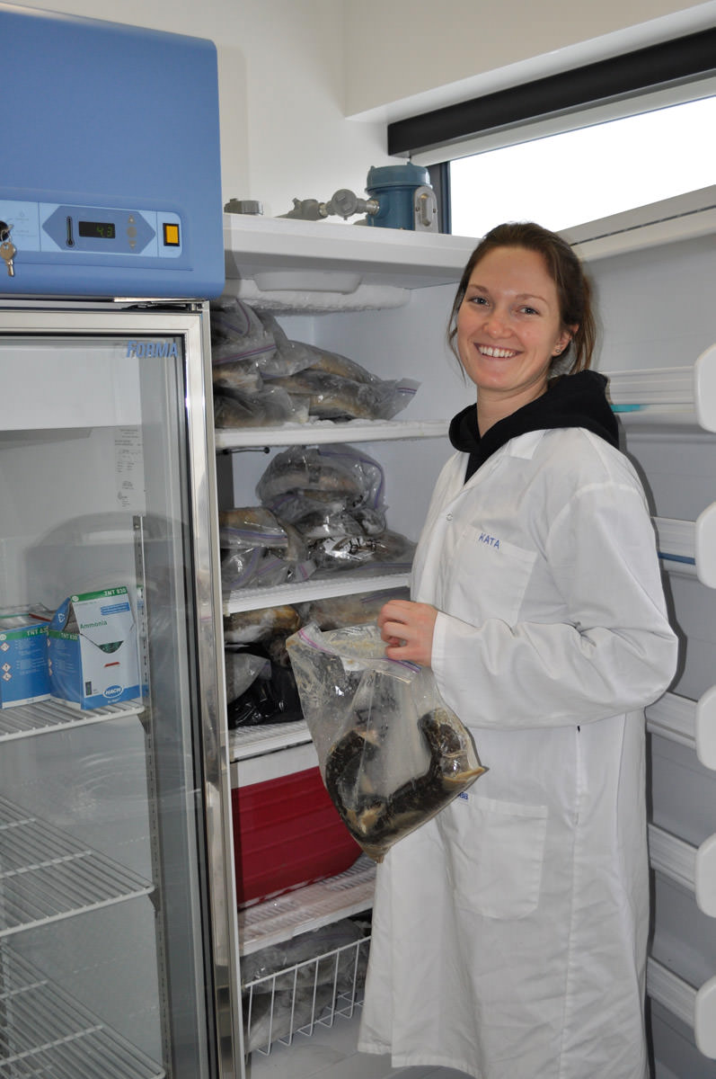 Environmental Technician Student Experience