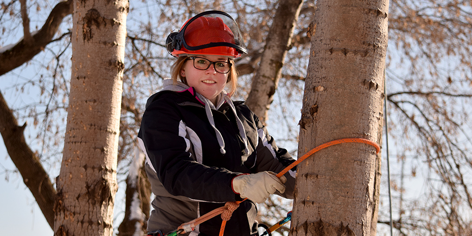 How To Become A Certified Arborist In Ontario - Untrained Workers ...