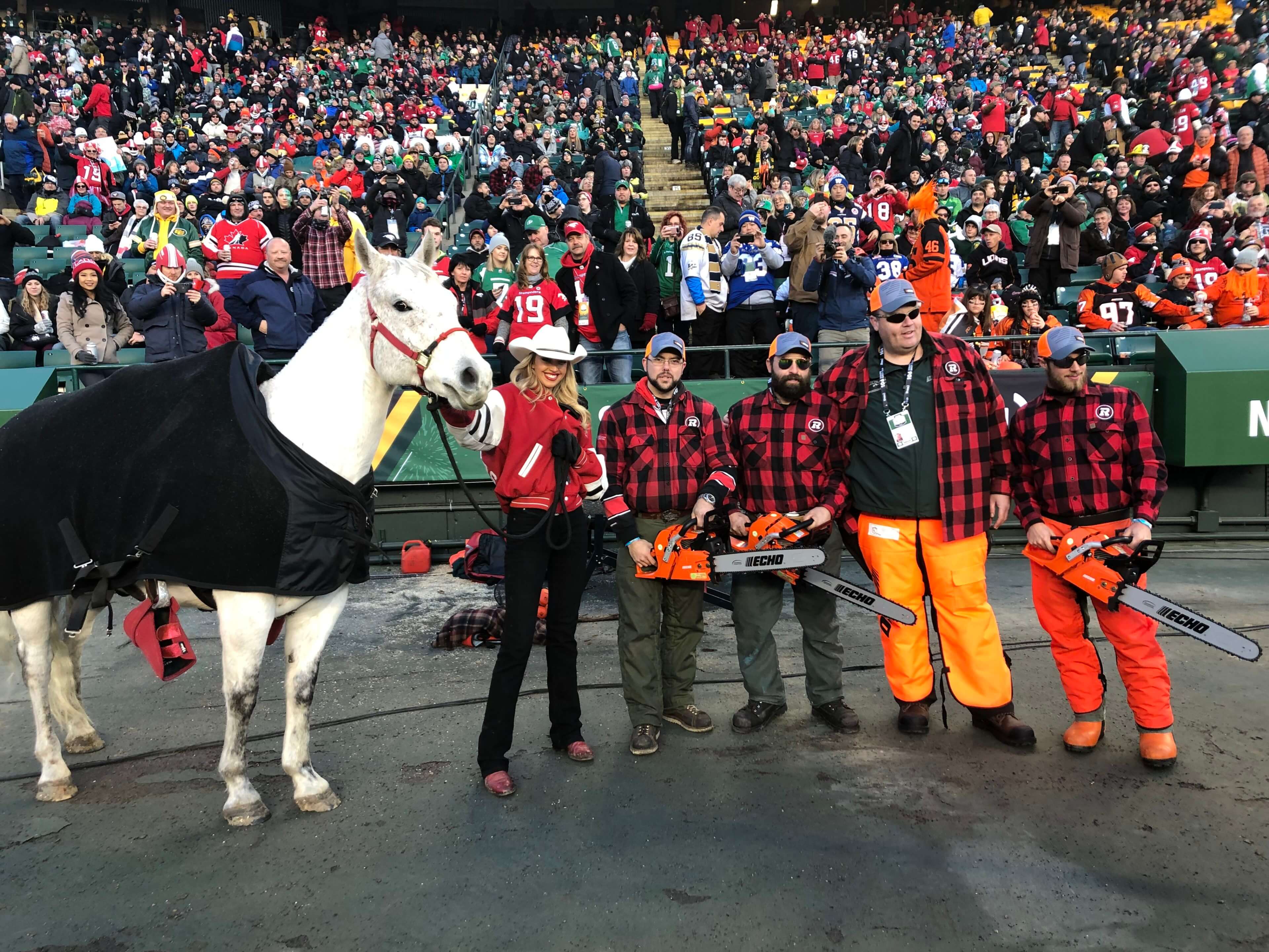 Loggersports team with horse at 2018 Grey Cup game-Edmonton - Pembroke ...
