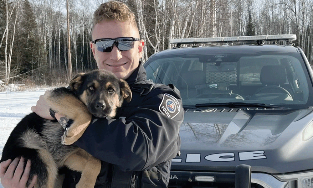 Police Foundations Courses - Police & Public Safety Institute