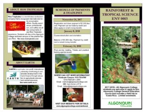 Tropical Rainforest Biome Brochure Examples