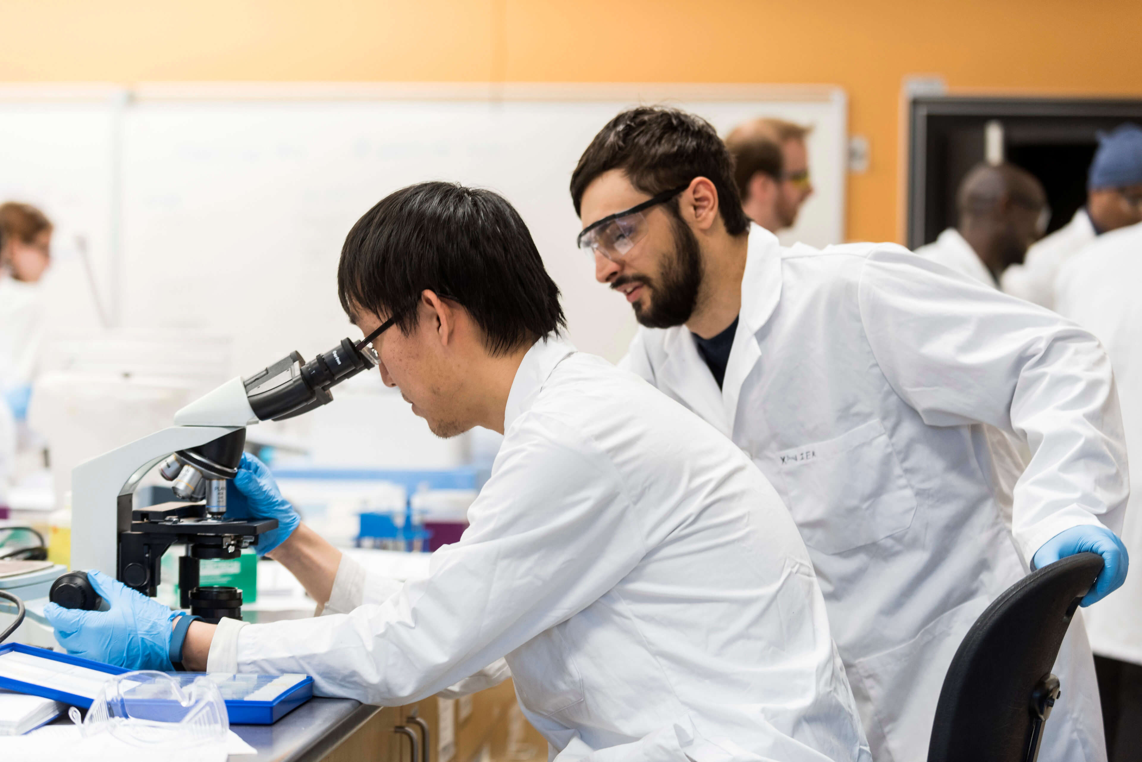 Biotechnology Advanced (Co-op and Non Co-op Version) - School of ...