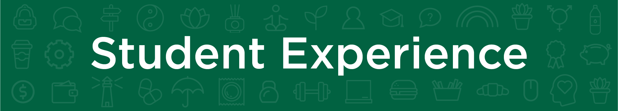 Student Experience | Student Support Services