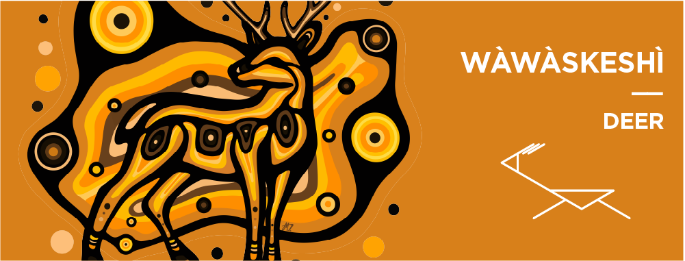 Wàwàskeshì – Deer | Truth and Reconciliation