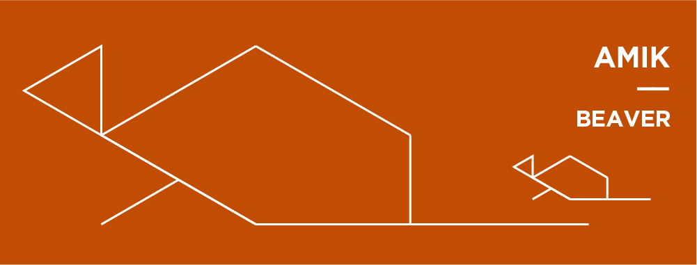 Amik – Beaver | Truth and Reconciliation