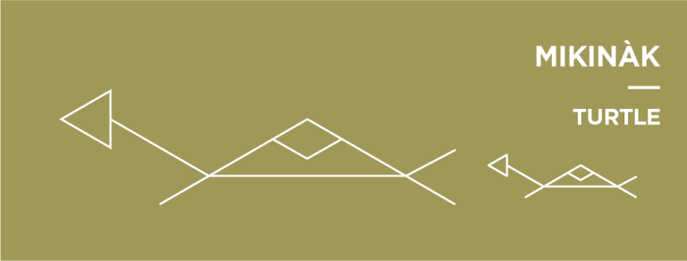 Mikinàk – Turtle | Truth and Reconciliation